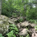 Humpback Rocks Recreation Area Trail, Virginia - 2,608 Reviews, Map ...