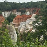 Canyon Loop Trail, Georgia - 2,392 Reviews, Map | AllTrails