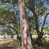 Beal's Point Campground to Granite Bay via American River Bike Trail ...