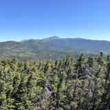 Mount Jackson Trail, New Hampshire - 2,089 Reviews, Map | AllTrails