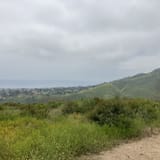 Ocean and Canyon View Trail, California - 2,094 Reviews, Map | AllTrails