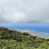 Mount Kaʻala Trail, Oahu, Hawaii - 1,716 Reviews, Map | AllTrails