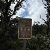 Mount Kaʻala Trail, Oahu, Hawaii - 1,716 Reviews, Map | AllTrails