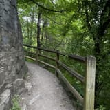 Escarpment Trail, New York - 1,044 Reviews, Map | AllTrails