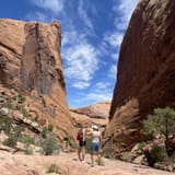 Syncline Loop, Utah - 1,060 Reviews, Map | AllTrails