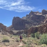 Syncline Loop, Utah - 1,060 Reviews, Map | AllTrails