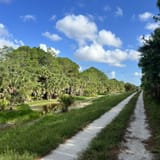Dyer Park Trail, Florida - 619 Reviews, Map | AllTrails