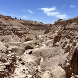 Miller Point and Juniper Draw Loop, Nevada - 105 Reviews, Map | AllTrails