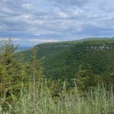 Escarpment Trail, New York - 988 Reviews, Map | AllTrails