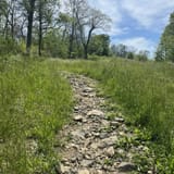 Reeves Brook Loop Trail, New York - 4,732 Reviews, Map | AllTrails