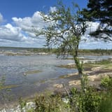 Salt Marsh Trail, Nova Scotia, Canada - 829 Reviews, Map | AllTrails