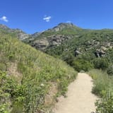 Adams Canyon Trail, Utah - 7,314 Reviews, Map | AllTrails