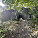 Tunk Mountain Ridge Trail, Maine - 347 Reviews, Map | AllTrails