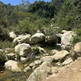 Cold Spring Loop, California - 2,312 Reviews, Map | AllTrails