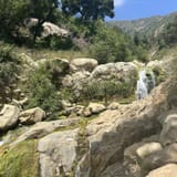 Cold Spring Loop, California - 2,312 Reviews, Map | AllTrails