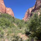 Middle Fork Taylor Creek Trail, Utah - 3,463 Reviews, Map | AllTrails
