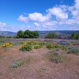 Rowena Plateau Trail, Oregon - 845 Reviews, Map | AllTrails