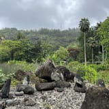 Waimea Valley Trail, Oahu, Hawaii - 1,683 Reviews, Map | AllTrails