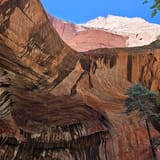 Middle Fork Taylor Creek Trail, Utah - 3,426 Reviews, Map | AllTrails