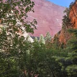 Middle Fork Taylor Creek Trail, Utah - 3,426 Reviews, Map | AllTrails