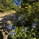 Neff's Canyon Loop, Utah - 2,624 Reviews, Map | AllTrails