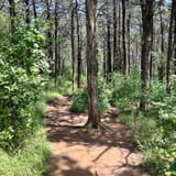 Parallel Forest Trail, Oklahoma - 408 Reviews, Map | AllTrails
