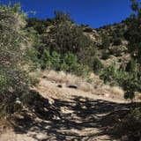 Palisade Rim Trail, Colorado - 1,576 Reviews, Map | AllTrails