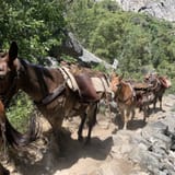 Wapama Falls Trail, California - 2,100 Reviews, Map | AllTrails