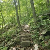 Whiteoak Canyon and Cedar Run Trail Loop, Virginia - 2,775 Reviews, Map ...