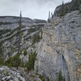 Grotto Mountain Trail, Alberta, Canada - 1,225 Reviews, Map | AllTrails