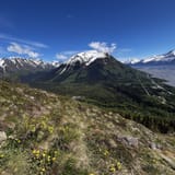 Bird Ridge Trail, Alaska - 1,097 Reviews, Map | AllTrails