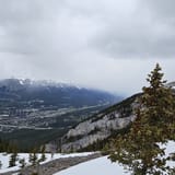 Grotto Mountain Trail, Alberta, Canada - 1,234 Reviews, Map | AllTrails