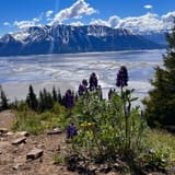 Bird Ridge Trail, Alaska - 1,097 Reviews, Map | AllTrails