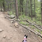 Independence Mountain Trail, Colorado - 5,152 Reviews, Map | AllTrails