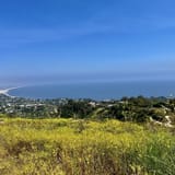 Paseo Miramar Trail , California - 2,334 Reviews, Map | AllTrails
