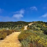 Paseo Miramar Trail , California - 2,334 Reviews, Map | AllTrails