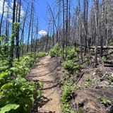 Arethusa Falls and Frankenstein Cliff Loop, New Hampshire - 2,082 ...