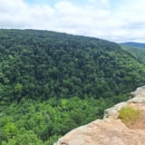 Whitaker Point Trail (Hawksbill Crag), Arkansas - 3,918 Reviews, Map ...
