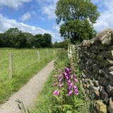 Grinton, Reeth Swing Bridge and Reeth Circular, North Yorkshire ...