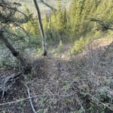 Mill Castle Trail to Lowline Trail Loop, Colorado - 44 Reviews, Map ...