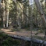 Mill Castle Trail to Lowline Trail Loop, Colorado - 44 Reviews, Map ...
