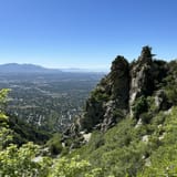 Ferguson Canyon Trail to Upper Meadow, Utah - 642 Reviews, Map | AllTrails