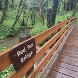 Tryon Creek Triple Bridge Loop, Oregon - 1,560 Reviews, Map | AllTrails