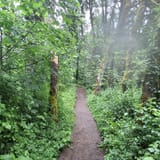 Tryon Creek Triple Bridge Loop, Oregon - 1,560 Reviews, Map | AllTrails