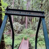 Tryon Creek Triple Bridge Loop, Oregon - 1,560 Reviews, Map | AllTrails