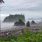 Ruby Beach, Washington - 1,573 Reviews, Map | AllTrails
