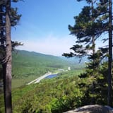 Mount Jackson Trail, New Hampshire - 2,113 Reviews, Map | AllTrails