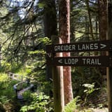 Greider Lakes Trail, Washington - 640 Reviews, Map | AllTrails