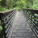 Tryon Creek Triple Bridge Loop, Oregon - 1,568 Reviews, Map | AllTrails