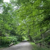 Frick Park Tour Loop Trail, Pennsylvania - 1,313 Reviews, Map | AllTrails